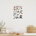 Endemic Birds of Hawai'i Poster | Zazzle