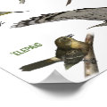 Endemic Birds of Hawai'i Poster | Zazzle