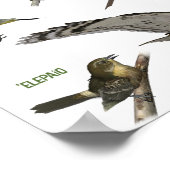 Endemic Birds of Hawai'i Poster | Zazzle