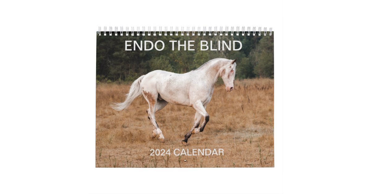 ENDO THE BLIND - 2024 Calendar | Zazzle