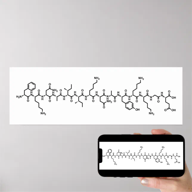 endorphin hormone chemical formula symbol science poster | Zazzle