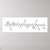 endorphin hormone chemical formula symbol science poster | Zazzle