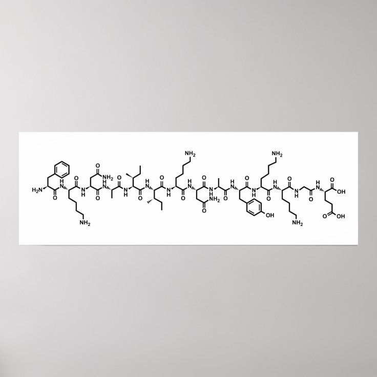 endorphin hormone chemical formula symbol science poster | Zazzle