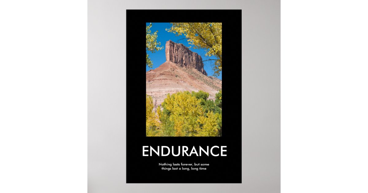ENDURANCE POSTER | Zazzle