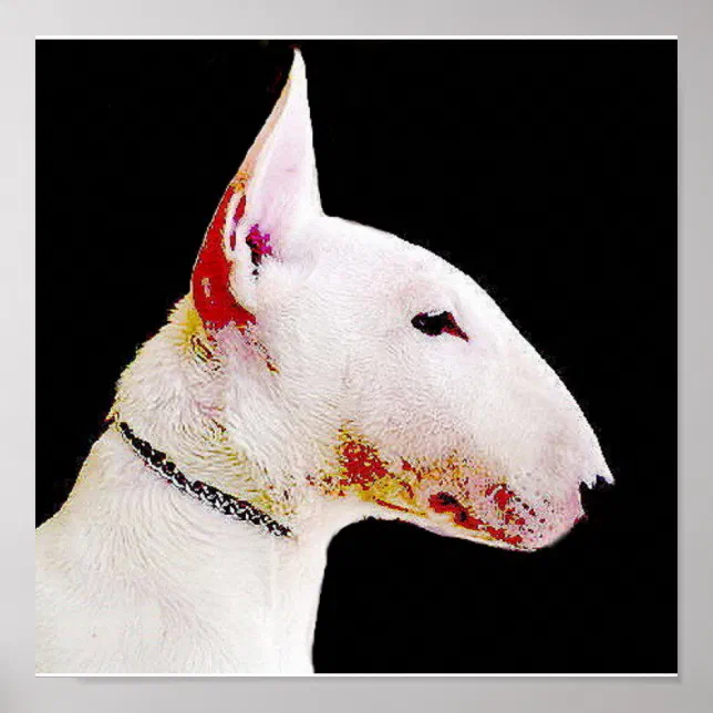 English bull terrier poster | Zazzle