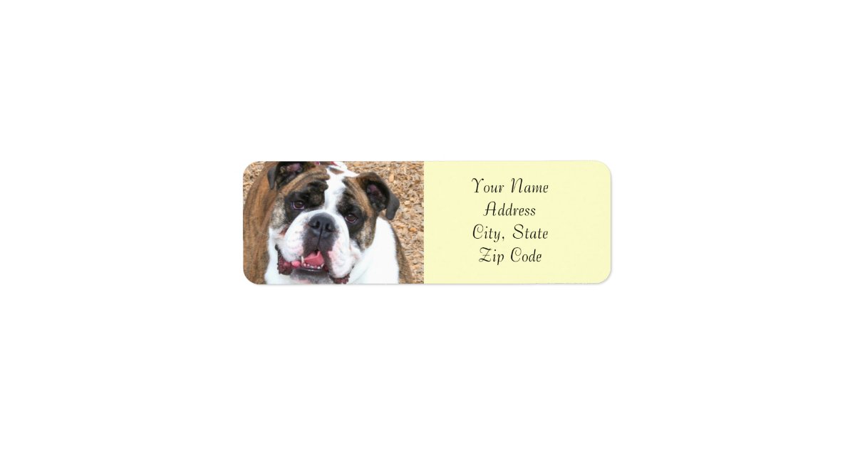 English bulldog address labels | Zazzle