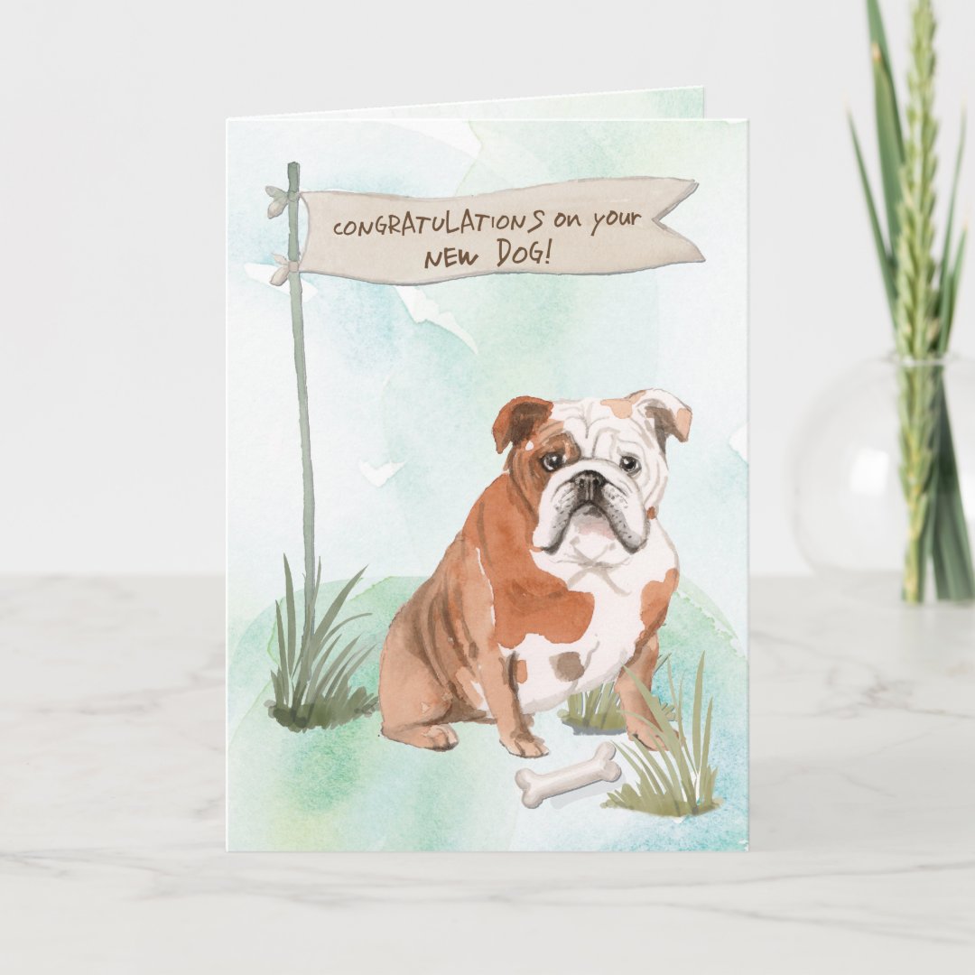 English Bulldog Congratulations on New Dog Card | Zazzle