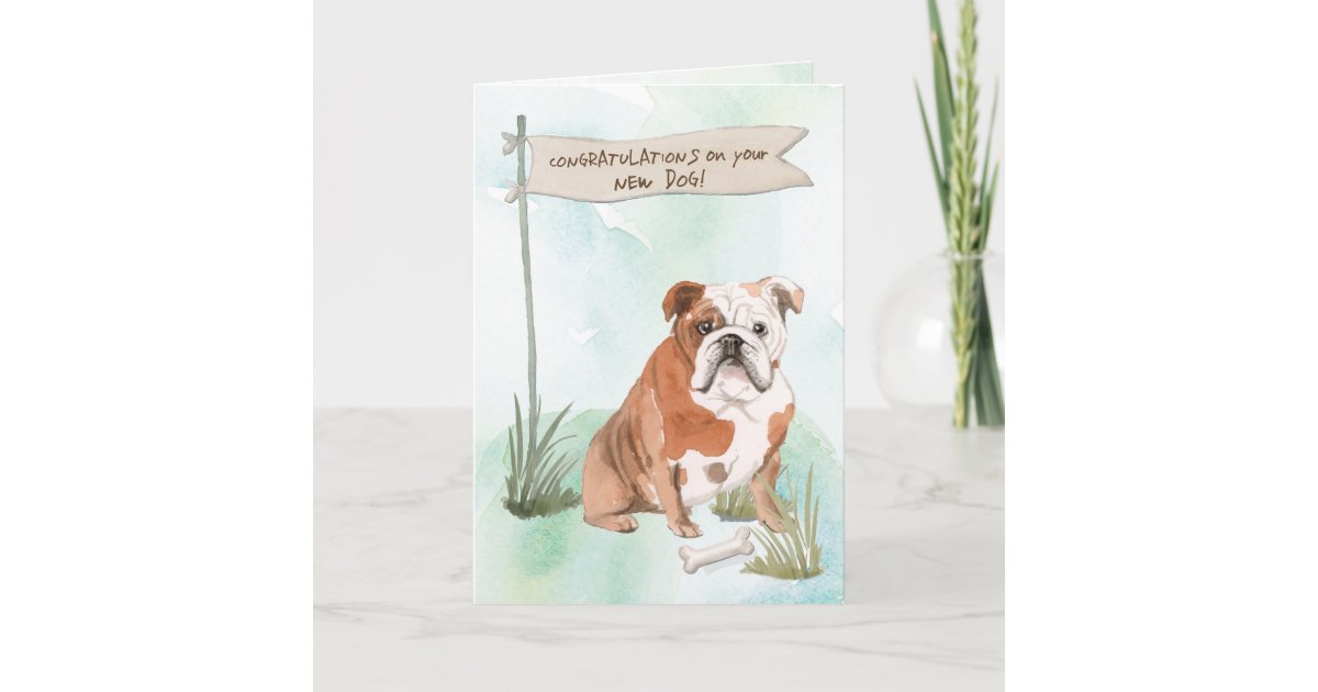 English Bulldog Congratulations on New Dog Card | Zazzle