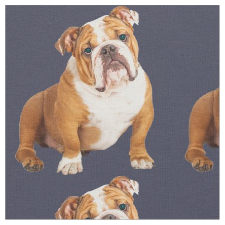 English Bulldog Fabric | Zazzle.com