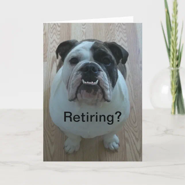 English bulldog happy retirement card! card | Zazzle