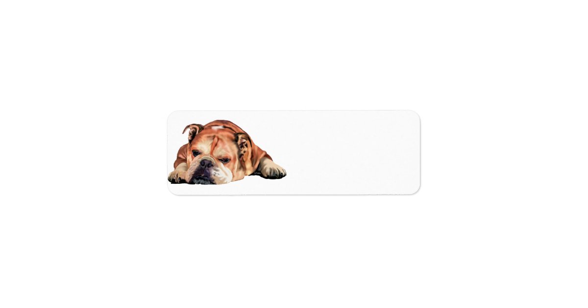 English Bulldog Label | Zazzle