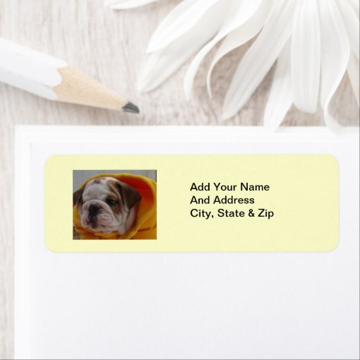 English Bulldog Puppy Return address labels | Zazzle
