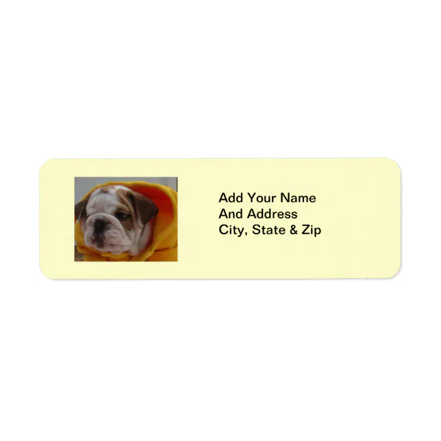 English Bulldog Puppy Return address labels | Zazzle