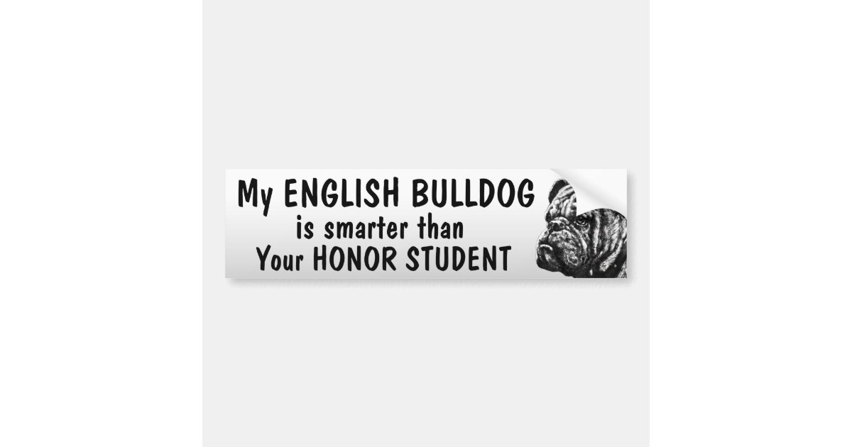 English Bulldog - Smarter than student - funny Bumper Sticker | Zazzle