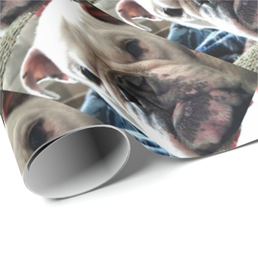 English Bulldog Wrapping Paper | Zazzle