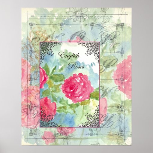 English Cabbage Roses Collage Watercolor Flowers Poster | Zazzle