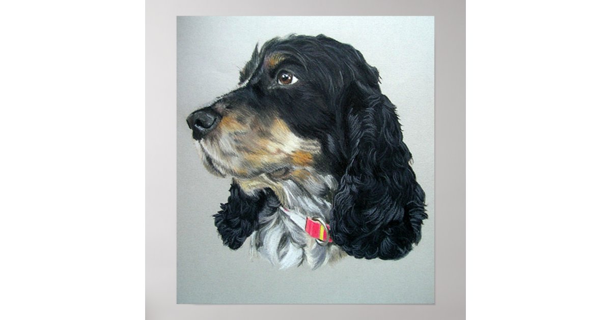 English Cocker Spaniel Dog Poster | Zazzle