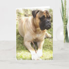 Bullmastiff Card | Zazzle.com