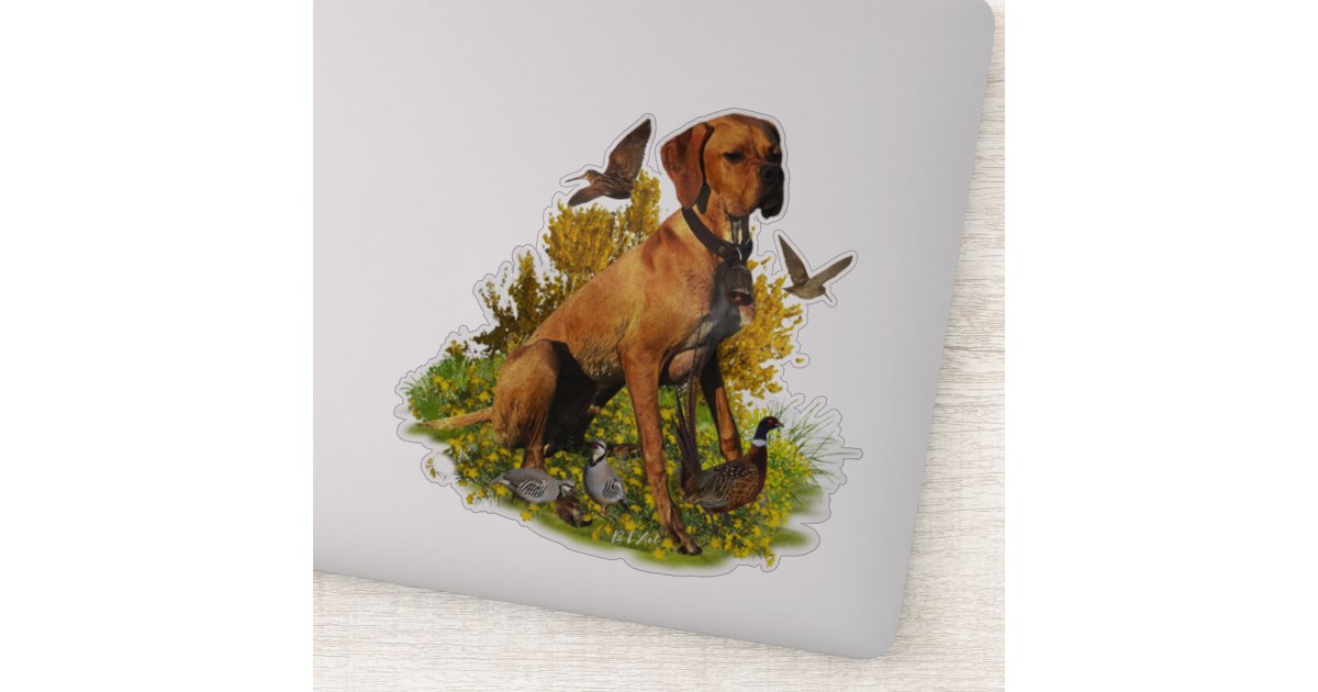 English pointer, bird hunting sticker | Zazzle