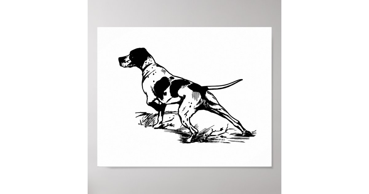 English Pointer Poster | Zazzle