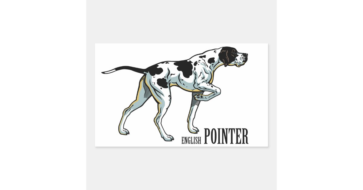 english pointer rectangular sticker | Zazzle
