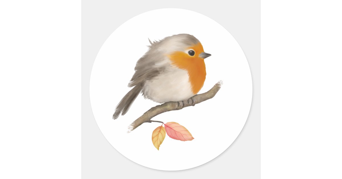 English Robin Bird Classic Round Sticker | Zazzle