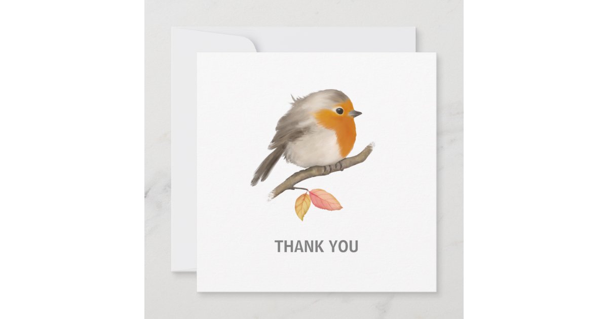 English Robin Bird Thank You Card | Zazzle