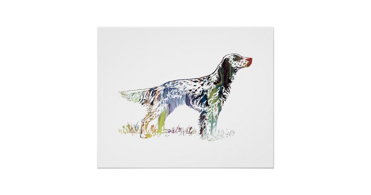 English setter art poster | Zazzle