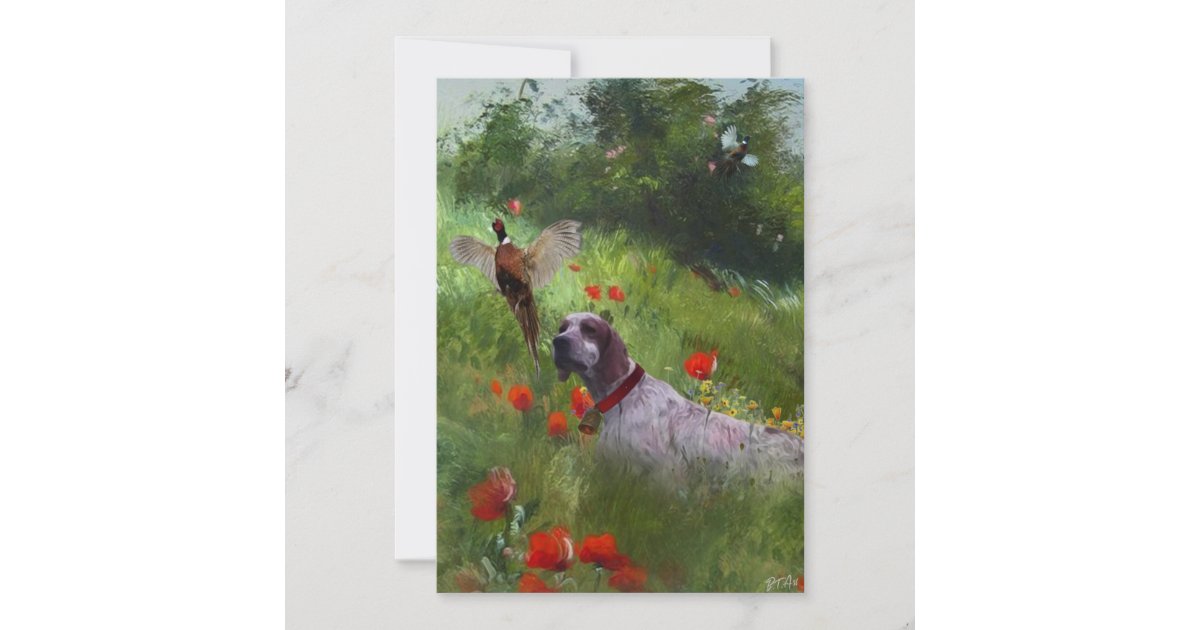 English Setter , Pheasant hunting Invitation | Zazzle