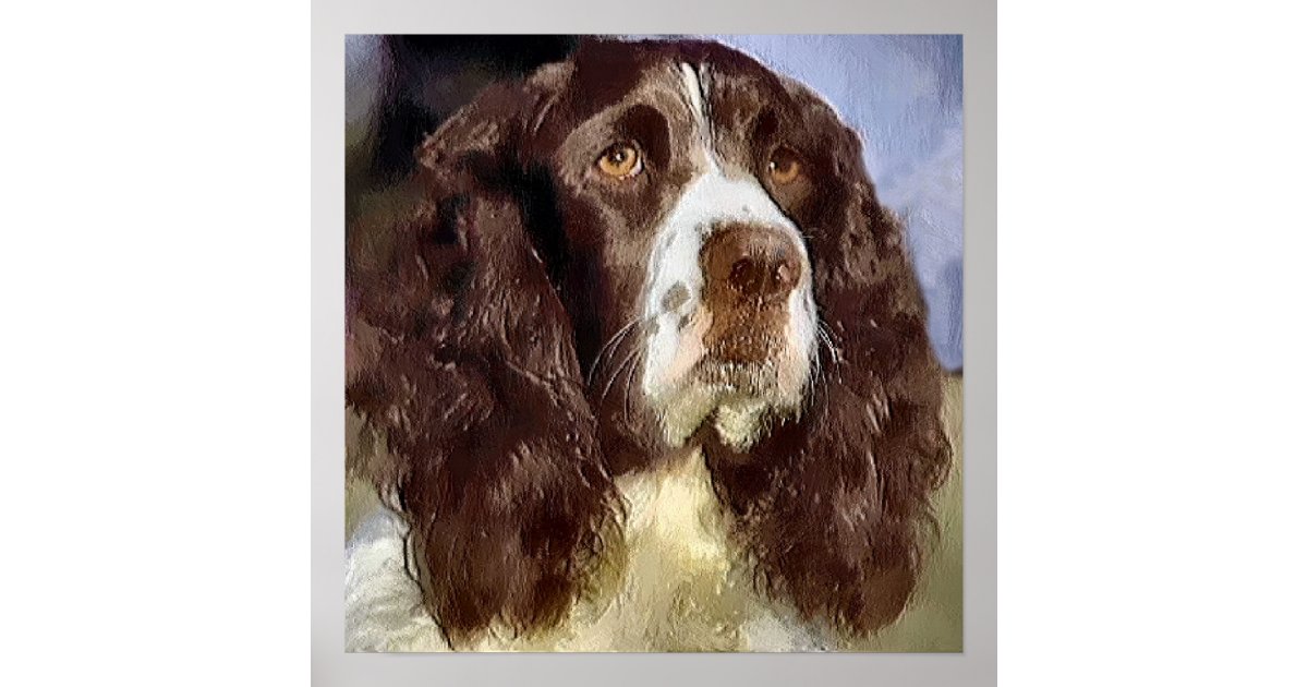 English Springer Spaniel Art Gifts Poster | Zazzle