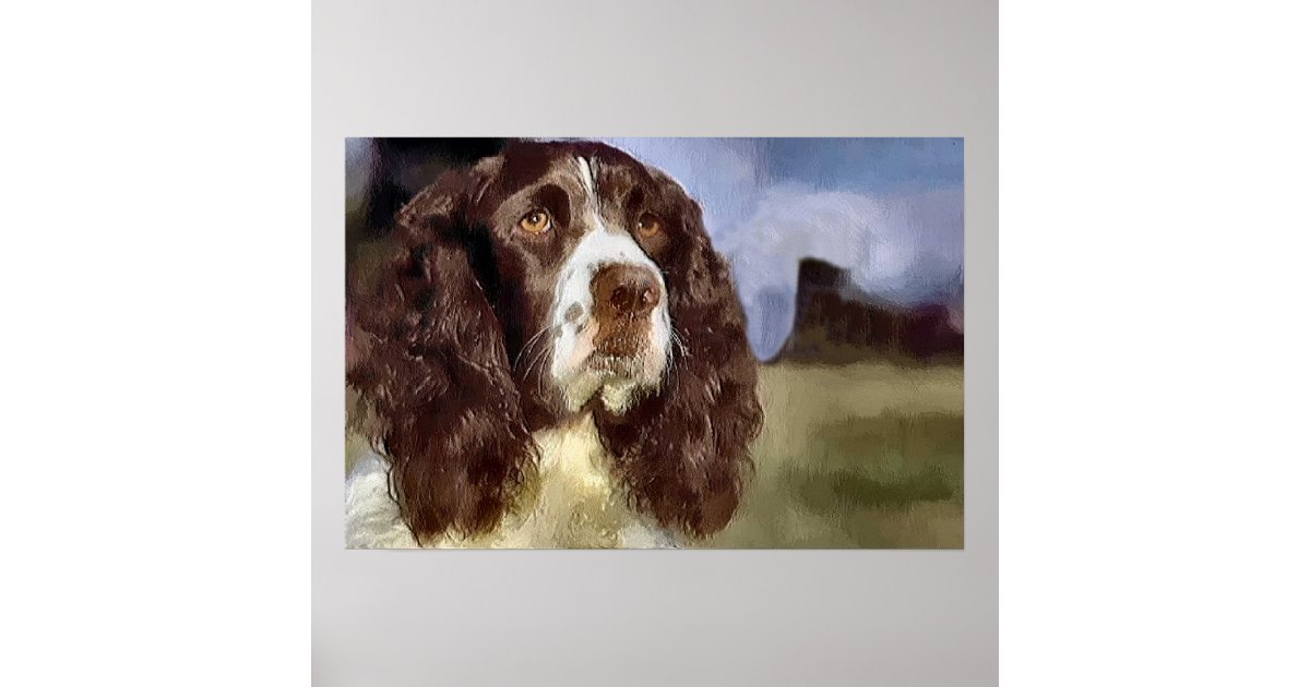 English Springer Spaniel Art Prints Gifts | Zazzle
