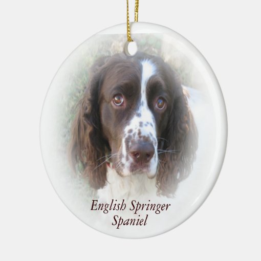 English Springer Spaniel Christmas Ornament | Zazzle