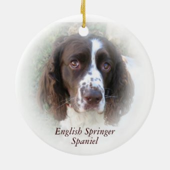 English Springer Spaniel Christmas Ornament | Zazzle