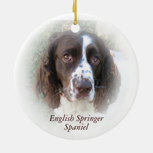 English Springer Spaniel Christmas Ornament | Zazzle