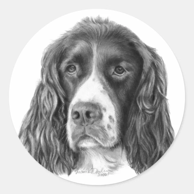 English Springer Spaniel Classic Round Sticker | Zazzle