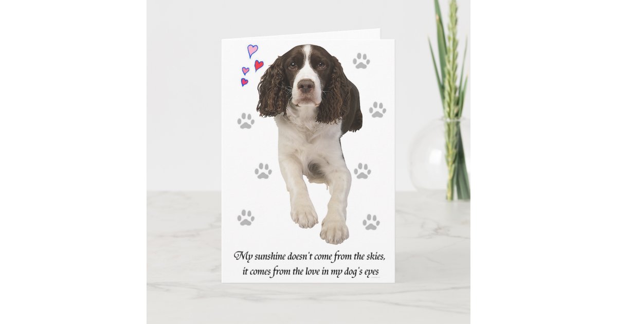 English Springer Spaniel Dog Card | Zazzle