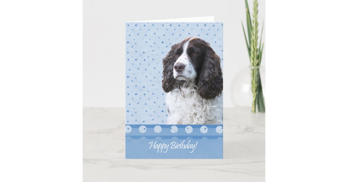 English Springer Spaniel Dog Happy Birthday Card | Zazzle.com