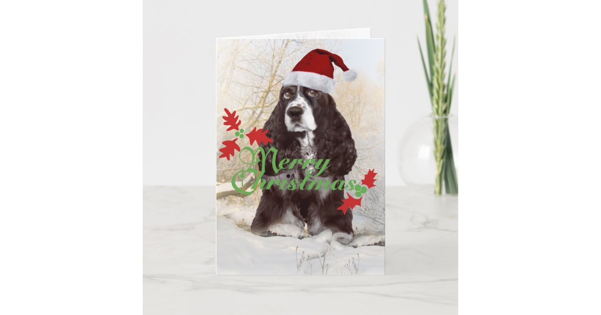 English Springer Spaniel Merry Christmas Cards | Zazzle
