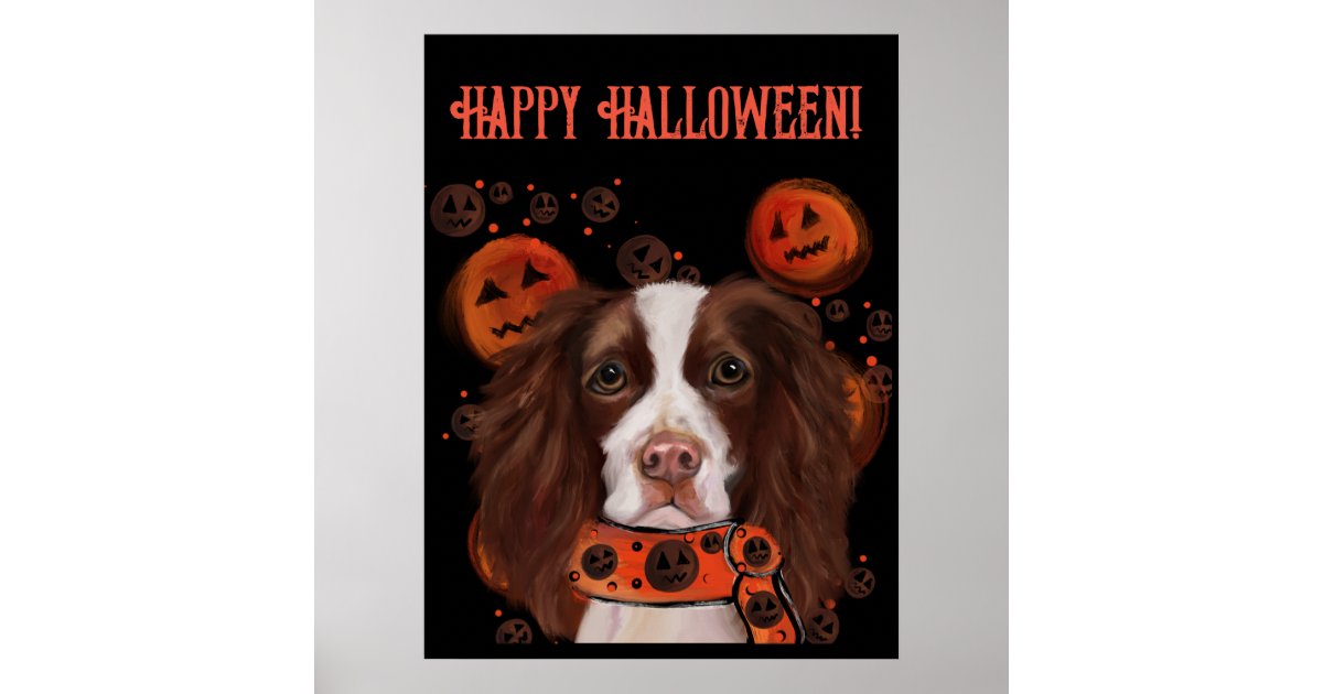 English Springer Spaniel Poster | Zazzle