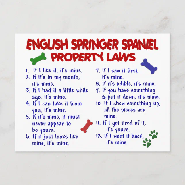 ENGLISH SPRINGER SPANIEL Property Laws 2 Postcard | Zazzle