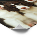 English Springer Spaniel Puppies (2) Poster | Zazzle