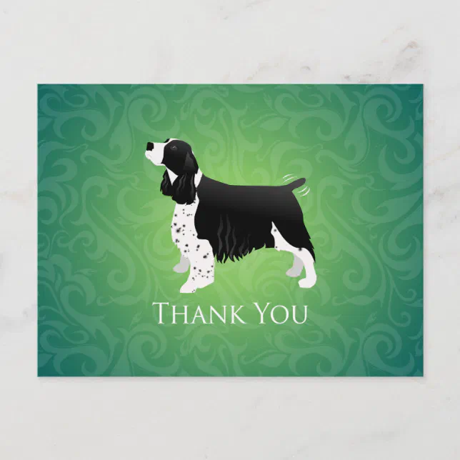English Springer Spaniel Thank You Postcard | Zazzle
