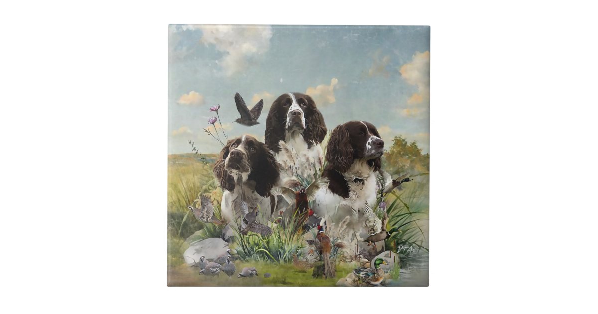 English Springer Spaniels ,Art Ceramic Tile | Zazzle