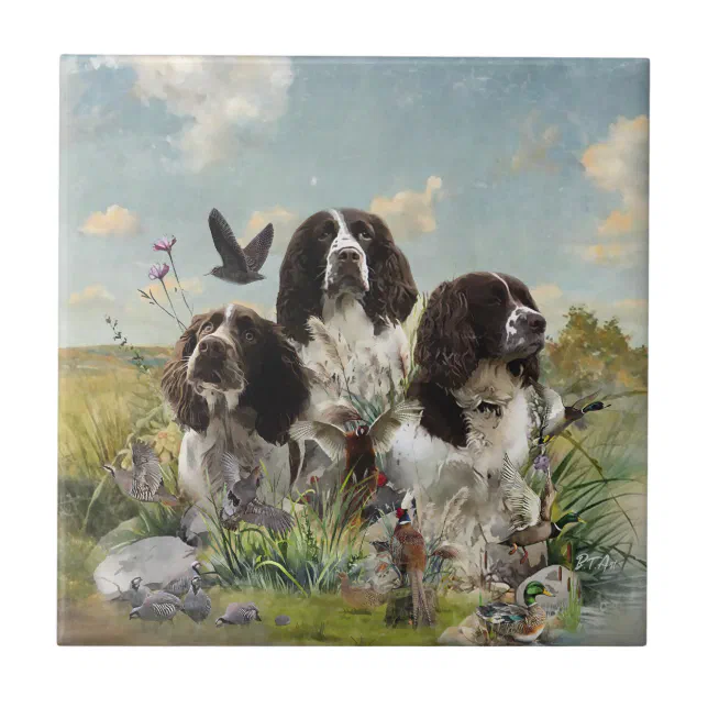 English Springer Spaniels ,Art Ceramic Tile | Zazzle