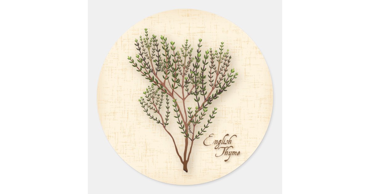 English Thyme Herb Stickers | Zazzle