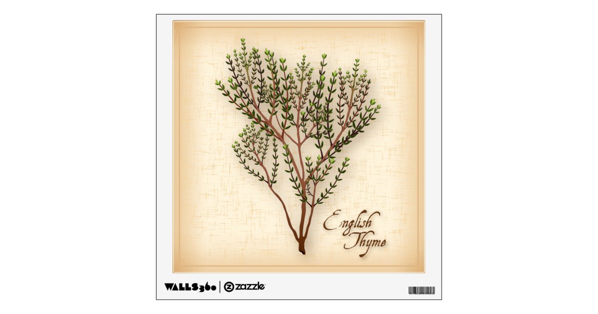 English Thyme Herb Wall Sticker | Zazzle