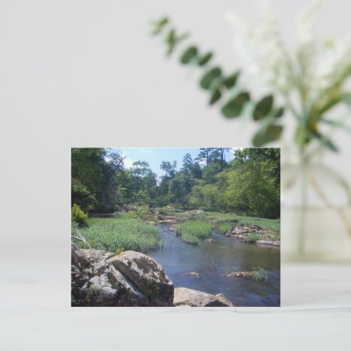 Eno River, North Carolina Postcard | Zazzle