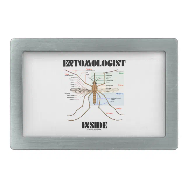Entomologist Inside (Mosquito Anatomy) Rectangular Belt Buckle | Zazzle