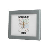 Entomologist Inside (Mosquito Anatomy) Rectangular Belt Buckle | Zazzle