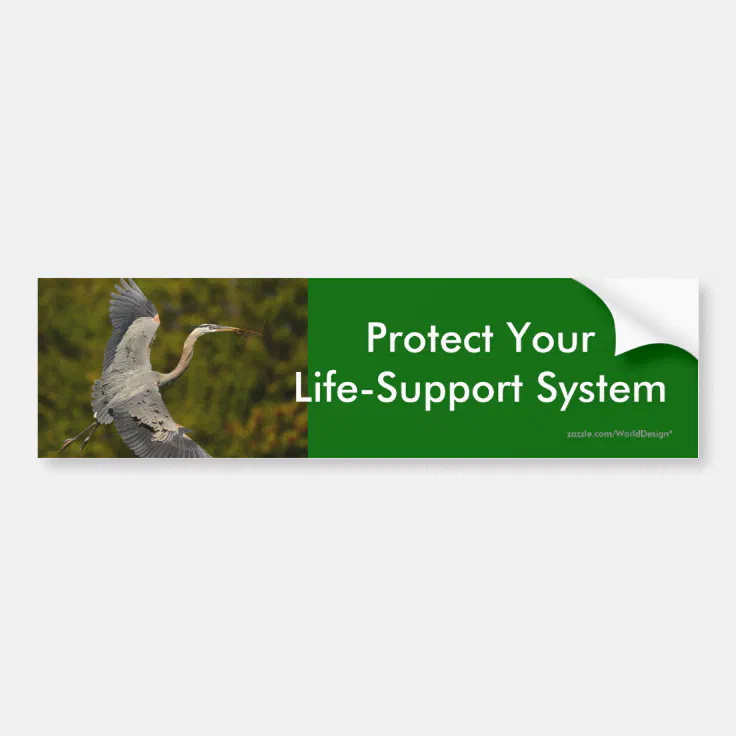 environment bumper sticker | Zazzle